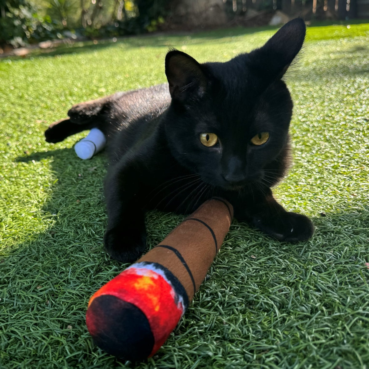 Chewy Cat Toy | Squeaky Cat Toy - B*unt | Purrple